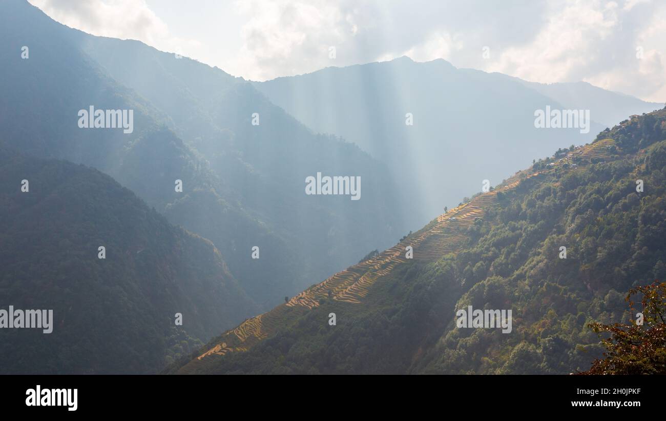 Rice Terraces Nepal High Resolution Stock Photography and Images - Alamy