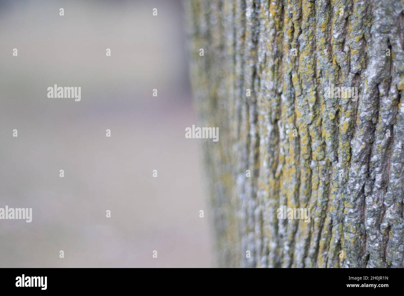 New york scenic nature hi-res stock photography and images - Alamy