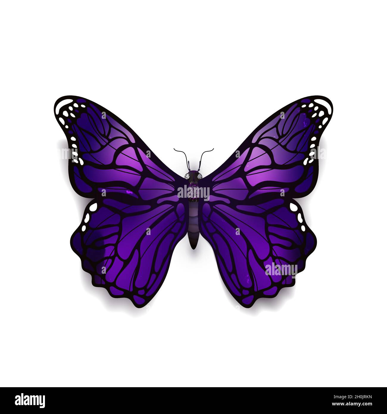 Beautiful deep purple detailed realistic magic butterfly on white Stock ...