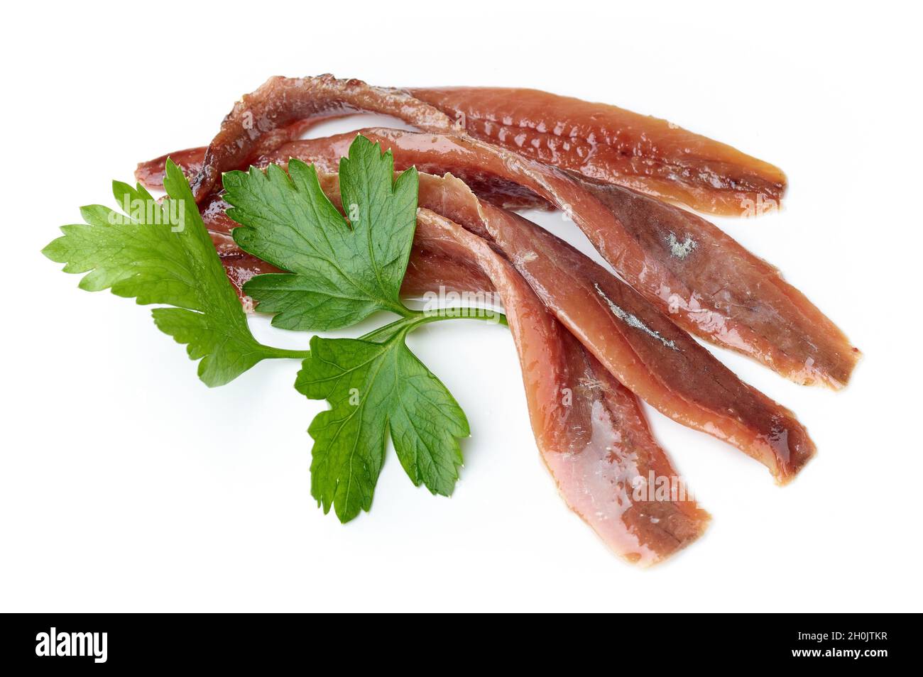 canned anchovy fillets decorated with parsley leaf isolated on white ...