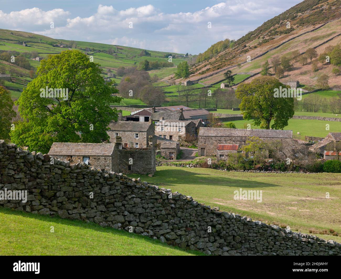 Farm buildings in the Yorkshire Dales, United Kingdom Stock Photo - Alamy