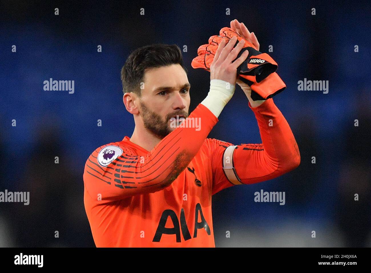 Tottenham hotspur goalkeeper hi-res stock photography and images - Alamy