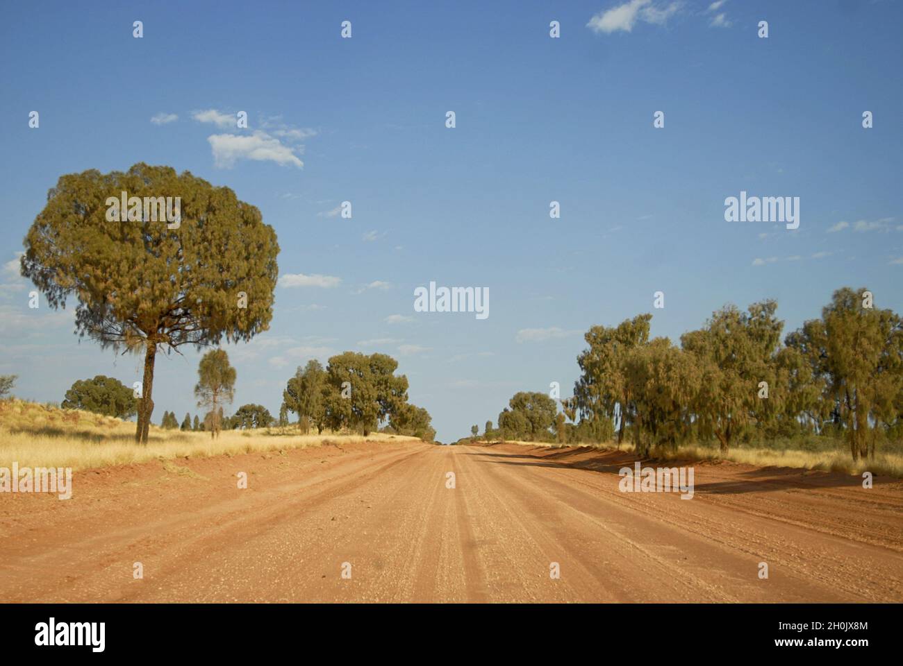 desert track at the outback, Merrenie Loop, Australia, Northern ...
