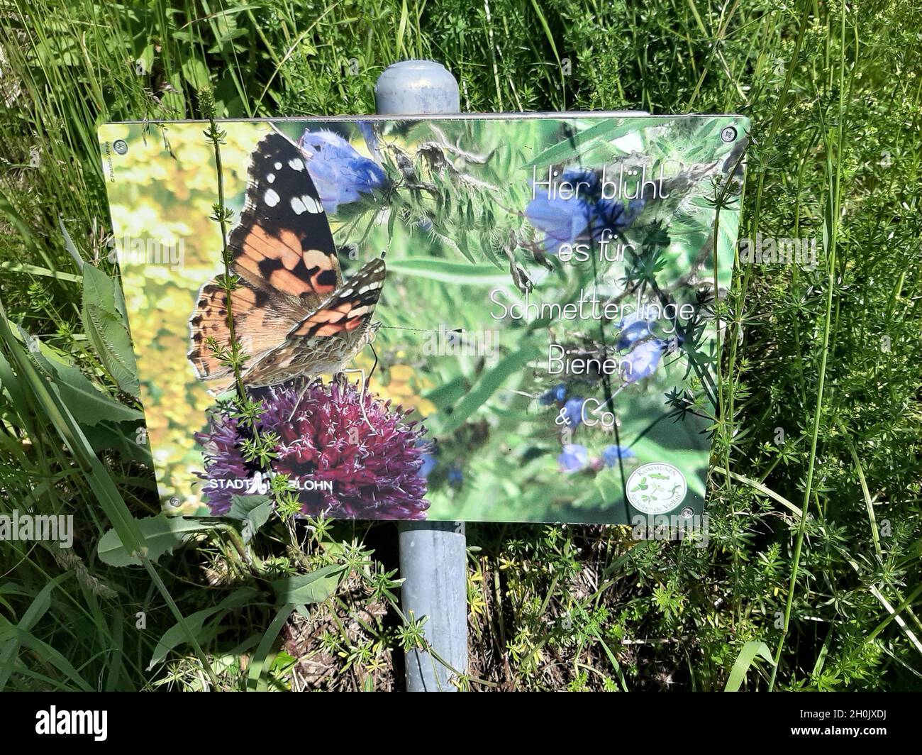 information sign for an insect protection project Stock Photo - Alamy