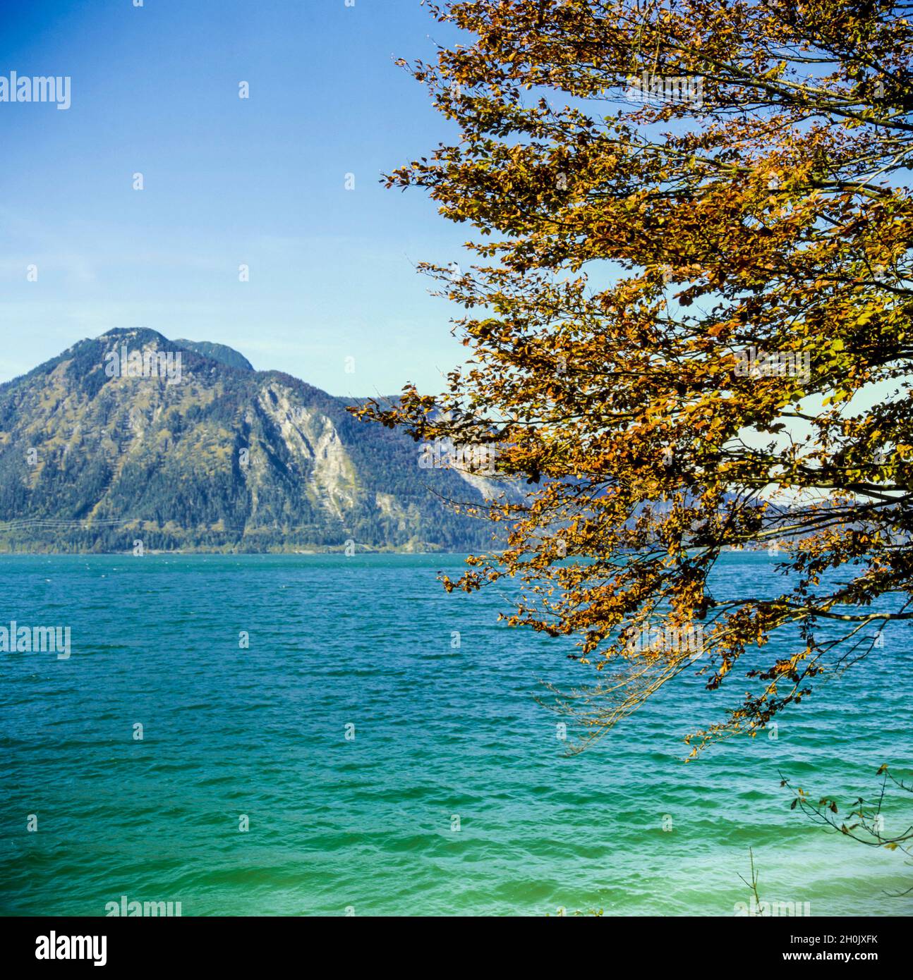 Landscape at the Walchensee (Lake Walchen), Germany, Bavaria ...