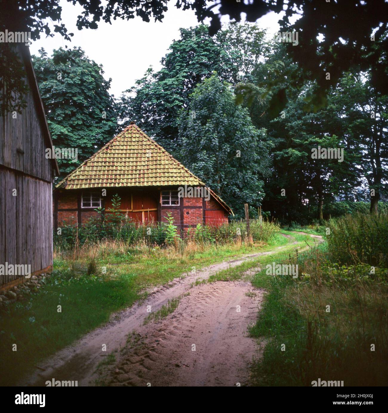 Old timber-framed farmhouse and barn Ammerland style, Germany, Lower ...