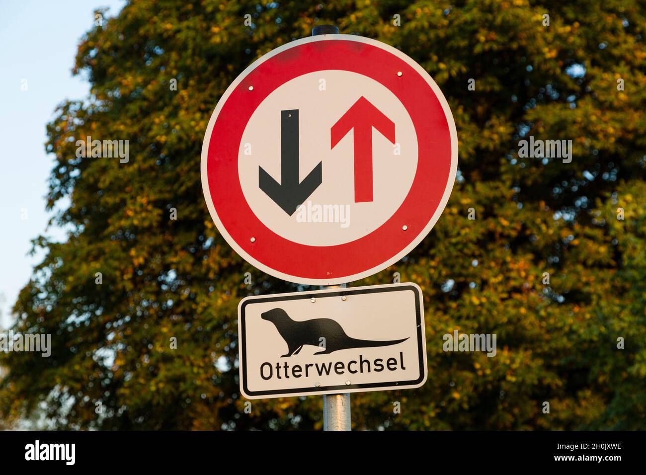 Priority traffic sign hi-res stock photography and images - Alamy