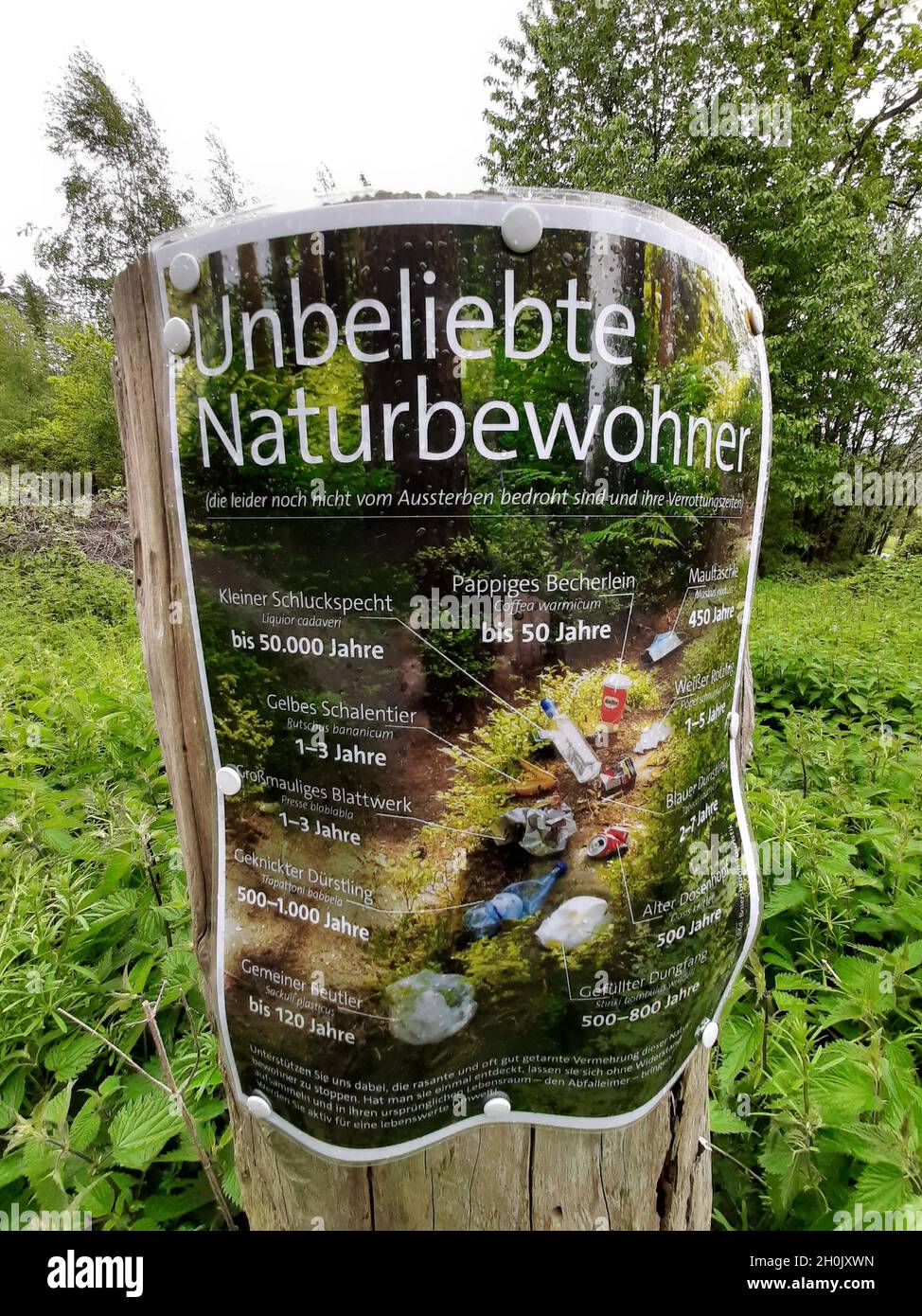 original poster depicting the rotting times of discarded affluence ...