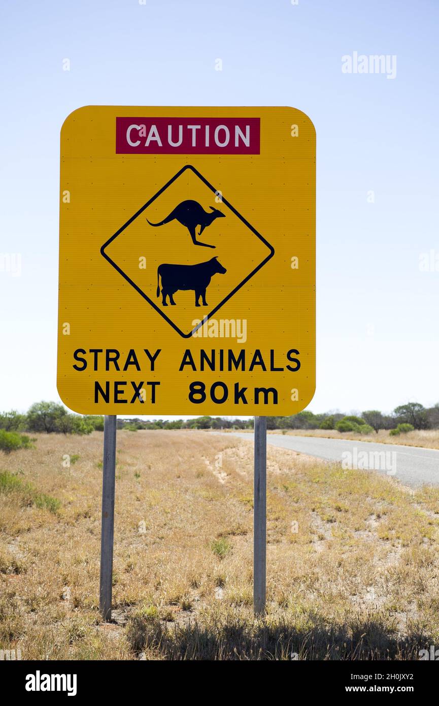 Danger sign in Australia, stray animals, Australia Stock Photo - Alamy
