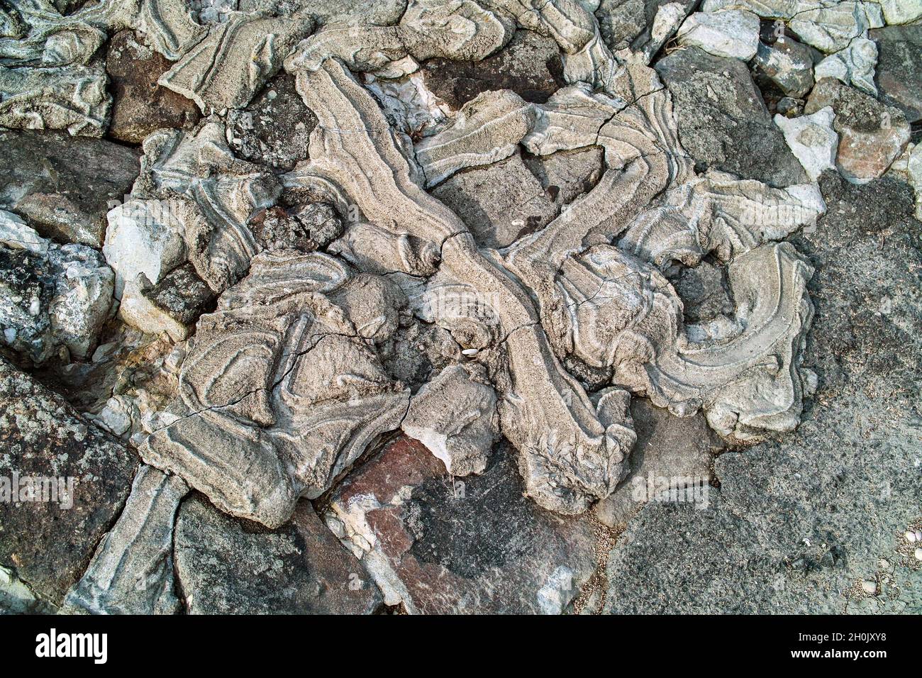 Lugworm faeces hi-res stock photography and images - Alamy