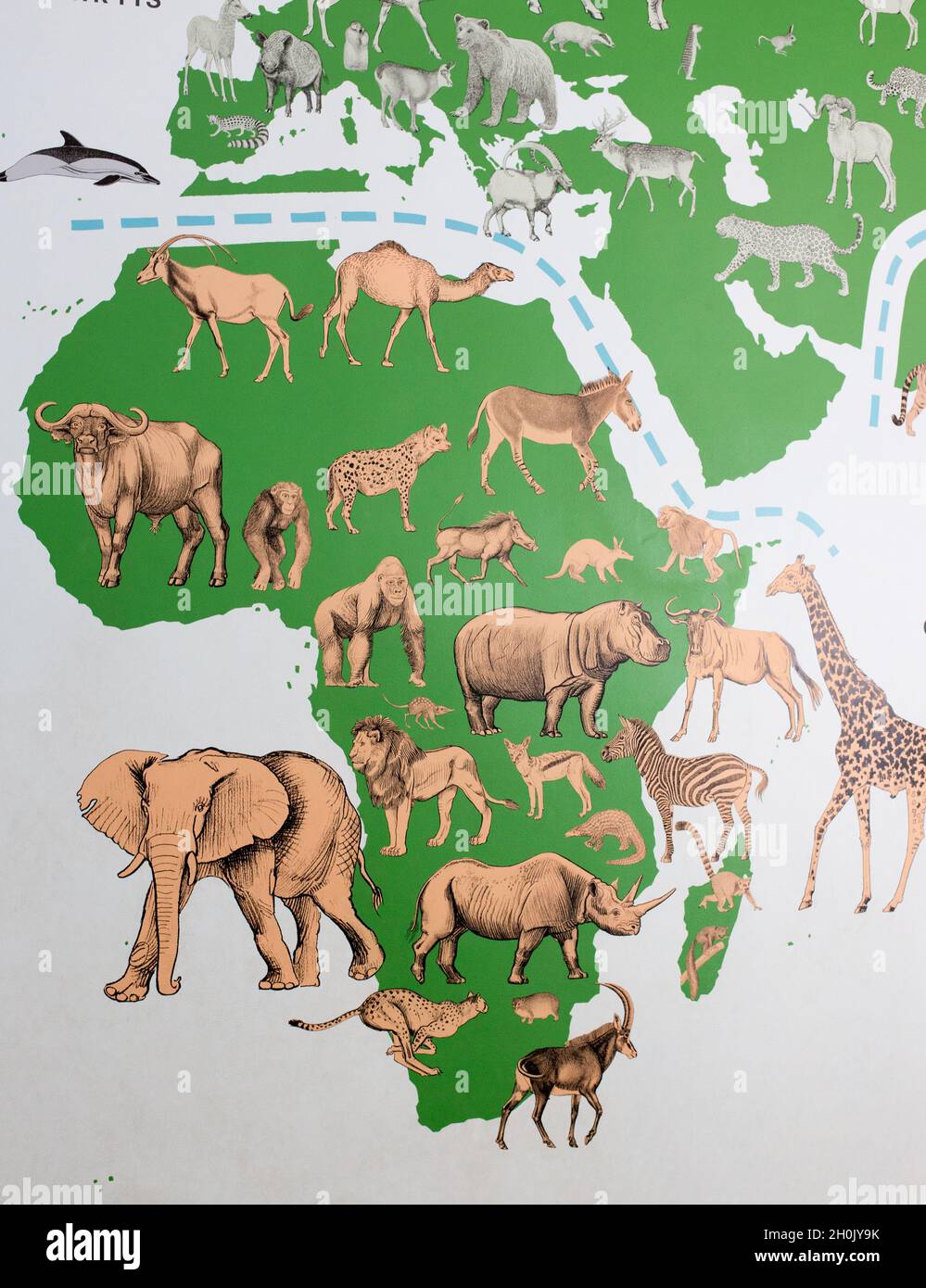 Africa map cartoon hi-res stock photography and images - Alamy