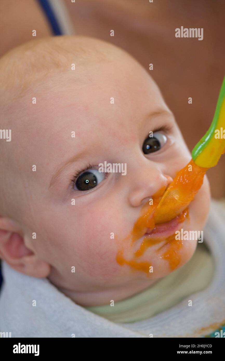 baby is fed with carrot baby food Stock Photo - Alamy