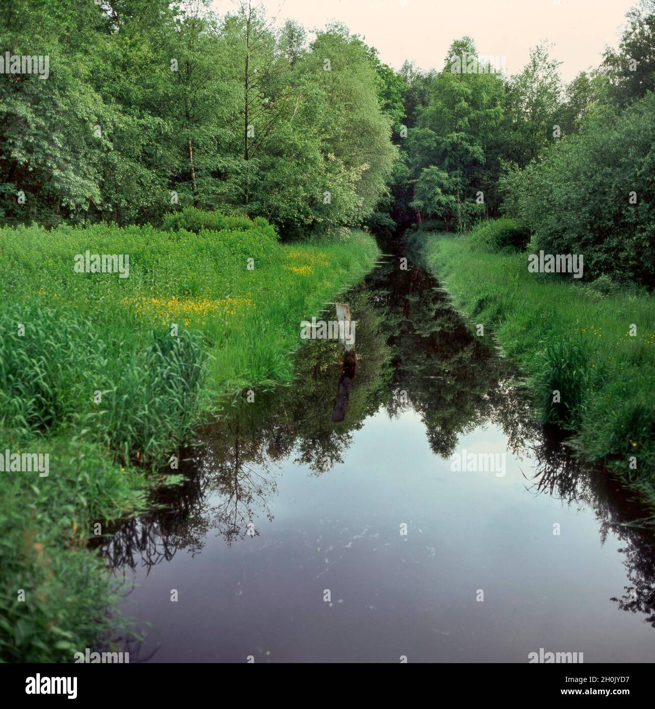 Moorlands habitat hi-res stock photography and images - Alamy