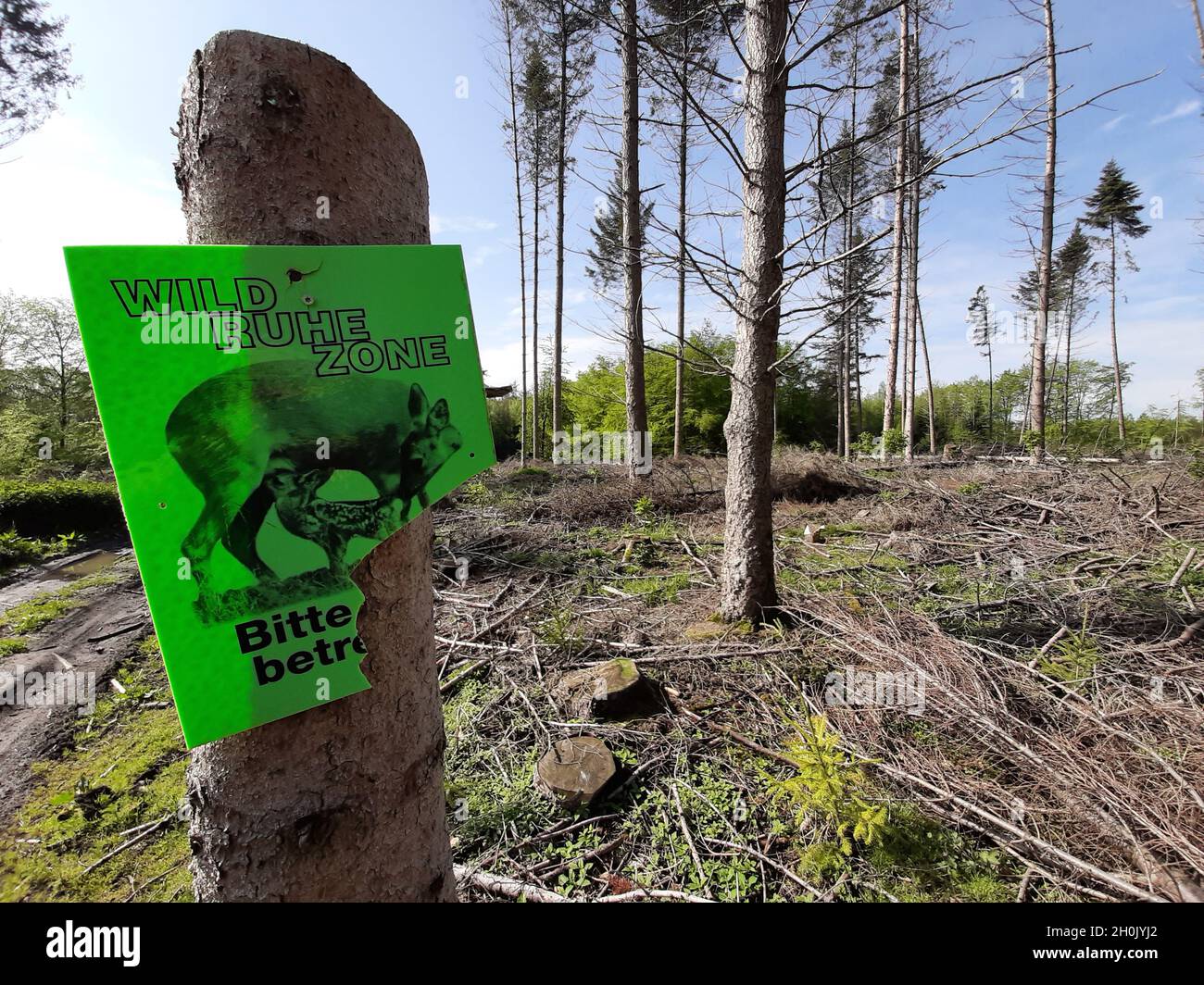 Information sign deforestation hi-res stock photography and images - Alamy