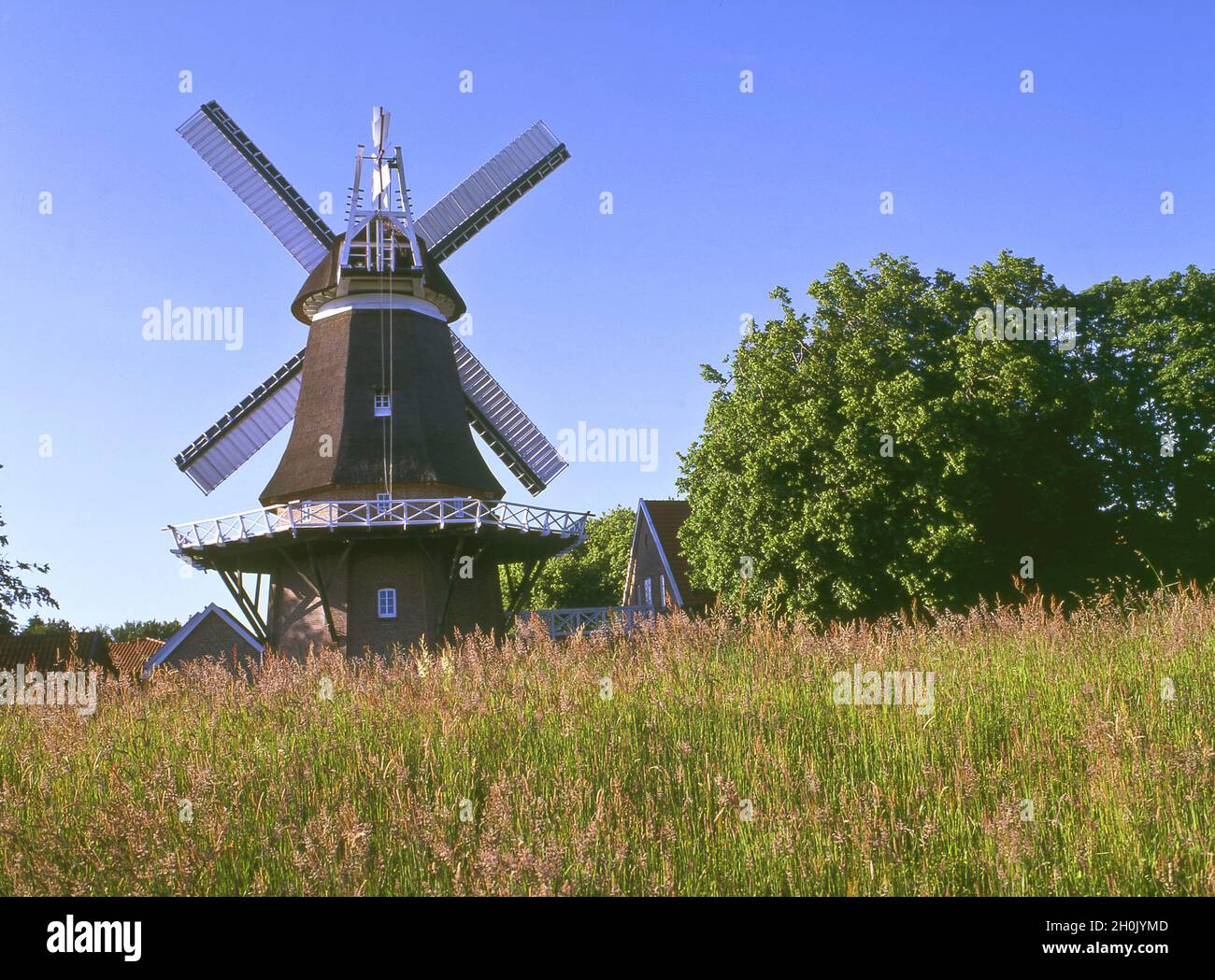 Ammerland hi-res stock photography and images - Alamy