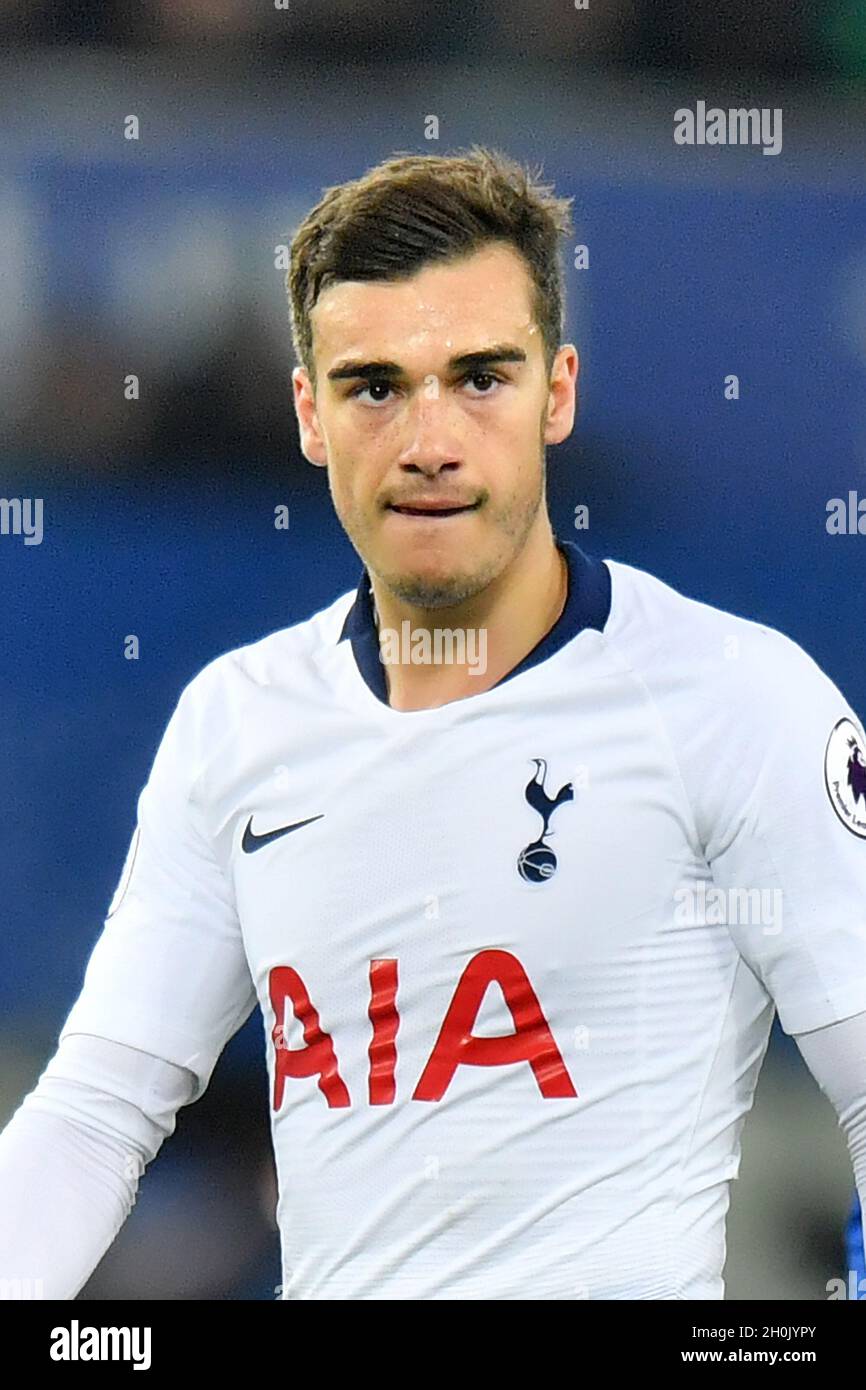 Tottenham Hotspur's Harry Winks Stock Photo - Alamy