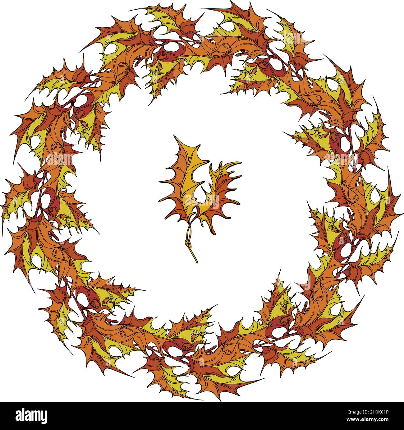 Green eucalyptus branch round Stock Vector Images - Alamy