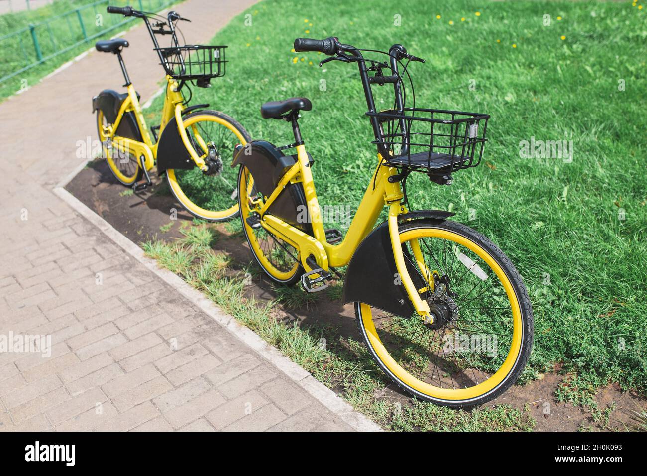 Yellow rental bikes - a popular environmental transport Stock Photo - Alamy