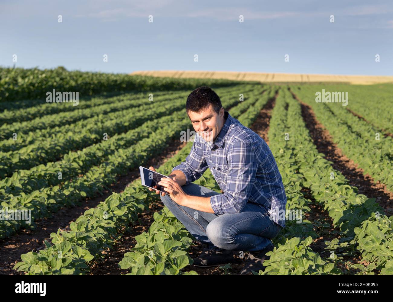 Crop quality hi-res stock photography and images - Alamy
