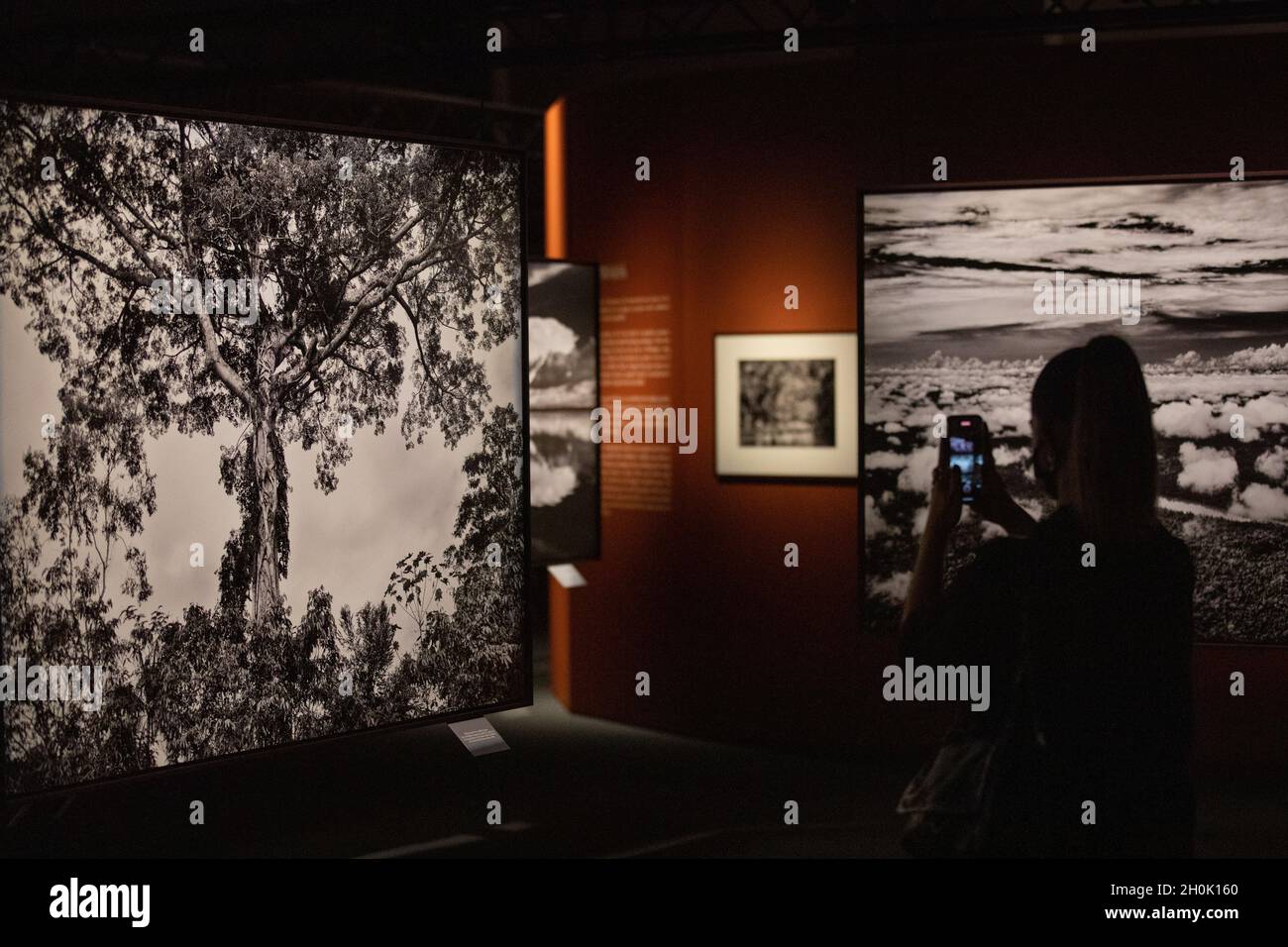 Sebastiao salgado forest hi-res stock photography and images - Alamy