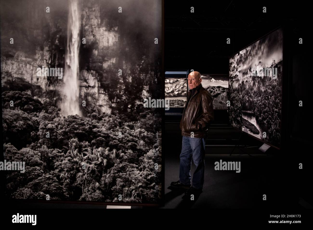 Sebastiao salgado forest hi-res stock photography and images - Alamy