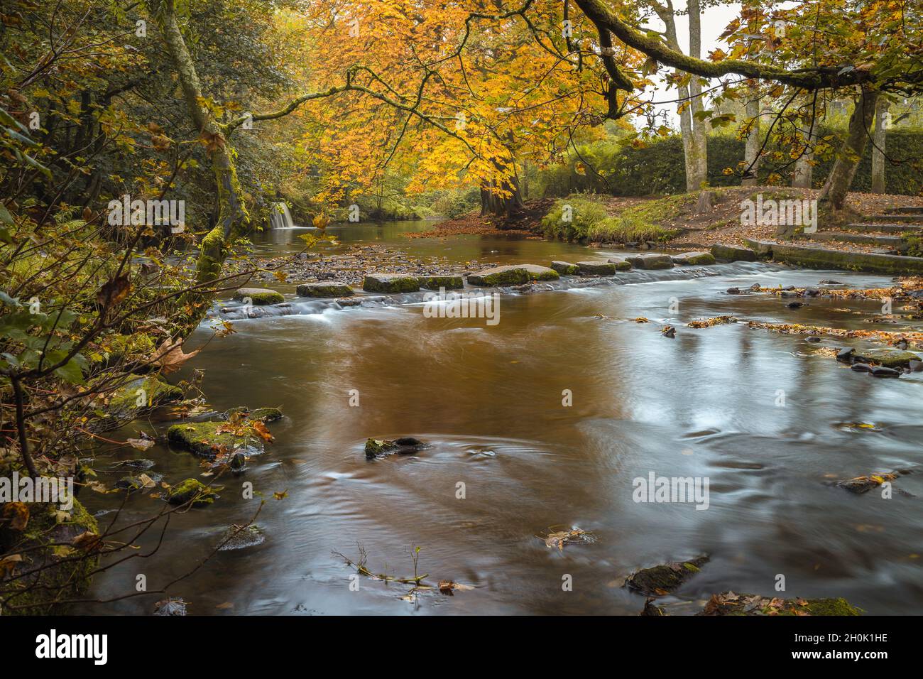 The River Tame Uppermill Stock Photo - Alamy