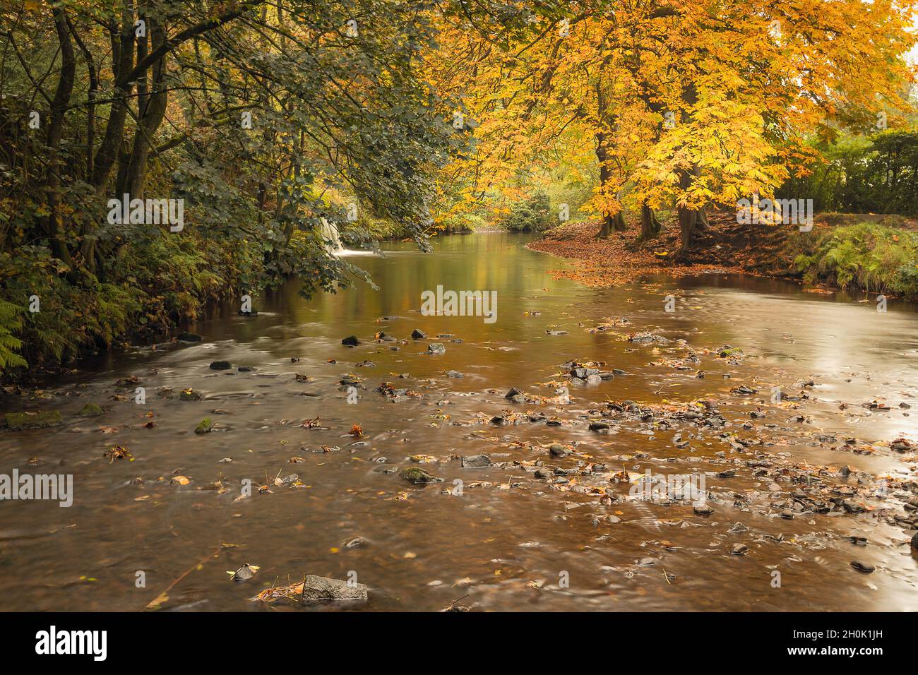 The River Tame Uppermill Stock Photo - Alamy