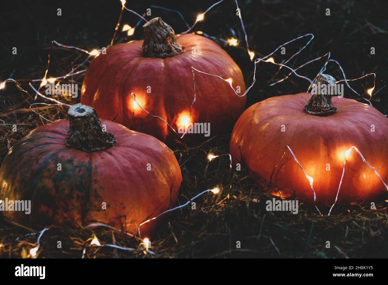 Party Tumblr Backgrounds