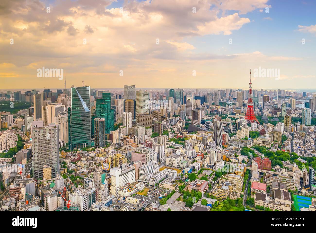 Tokyo skyline with Tokyo Tower at twilight in Japan Stock Photo - Alamy