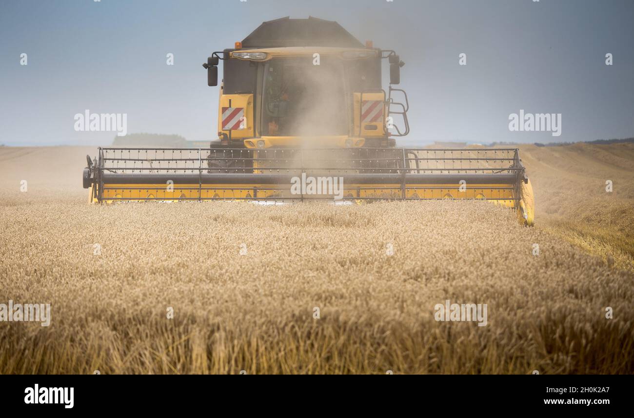 Front view grain harvester working hi-res stock photography and images ...