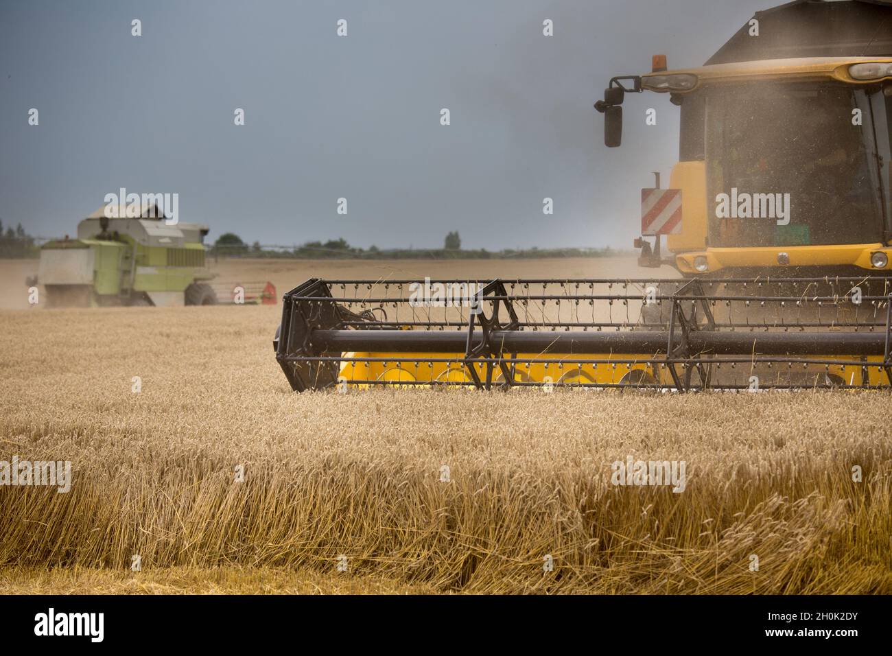 Front view of combine harvester working in wheat field in summer Stock ...
