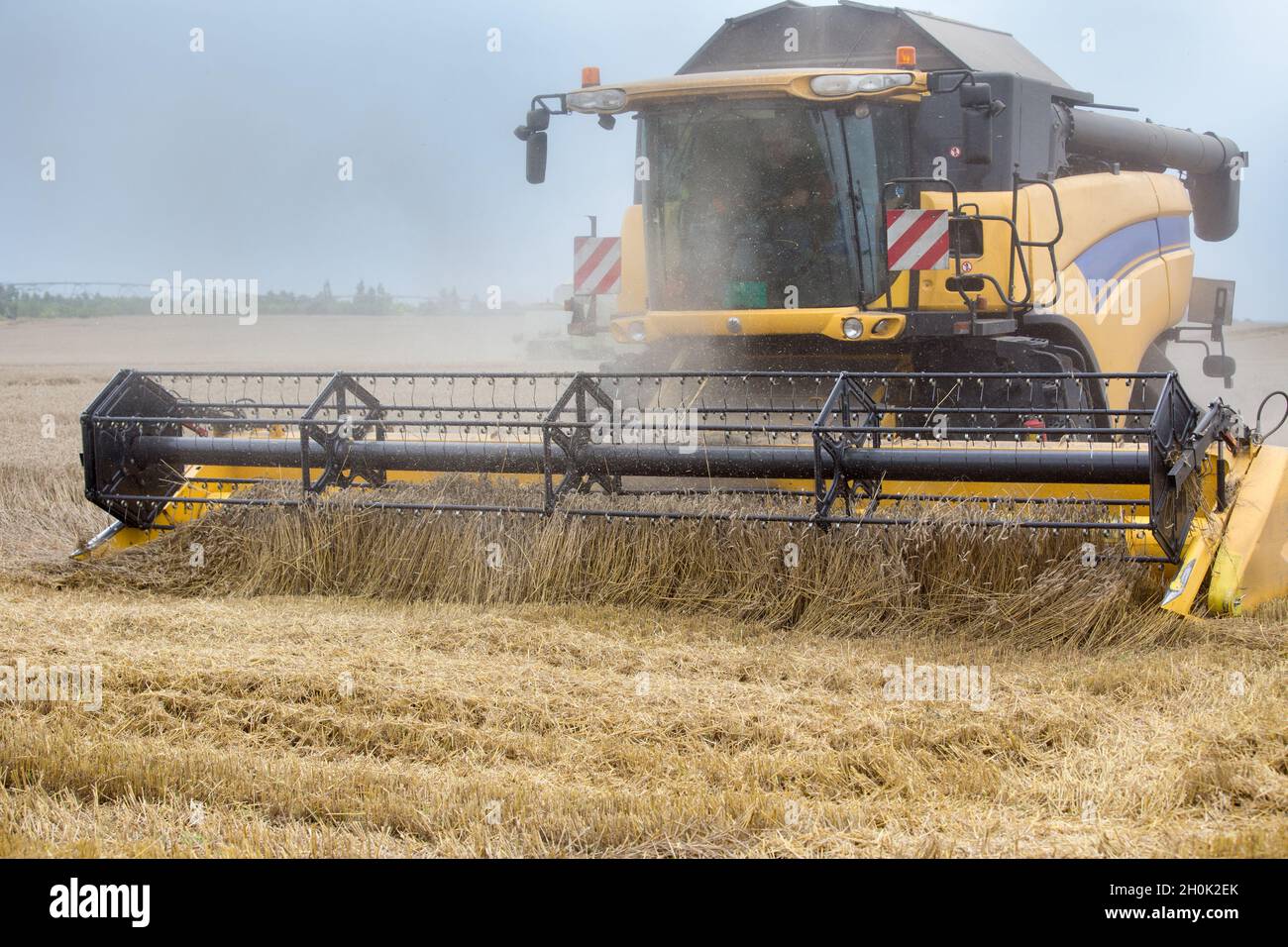 Front view grain harvester working hi-res stock photography and images ...