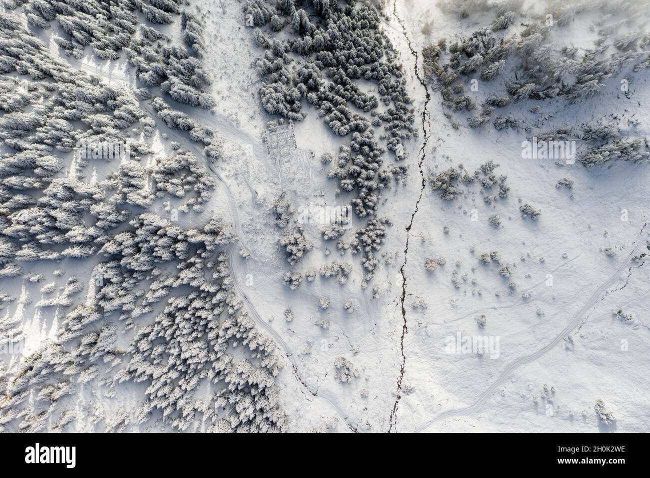Aerial view of a forest covered with fresh snow and clouds in the ...