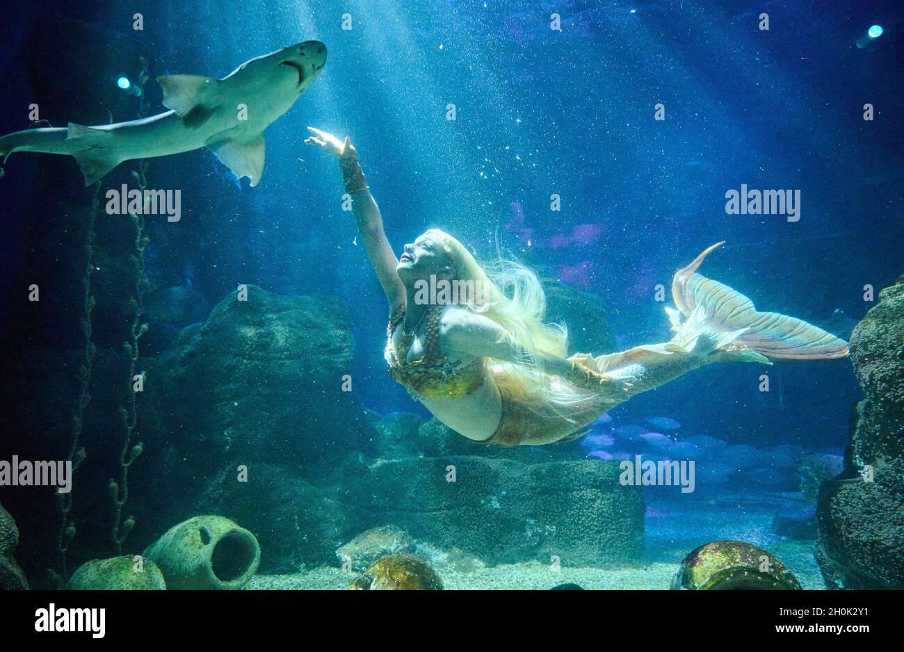 Daniela sea actress hi-res stock photography and images - Alamy