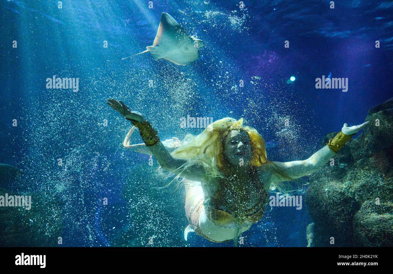 Berlin, Germany. 13th Oct, 2021. Mermaid actress Daniela Rodler dives ...