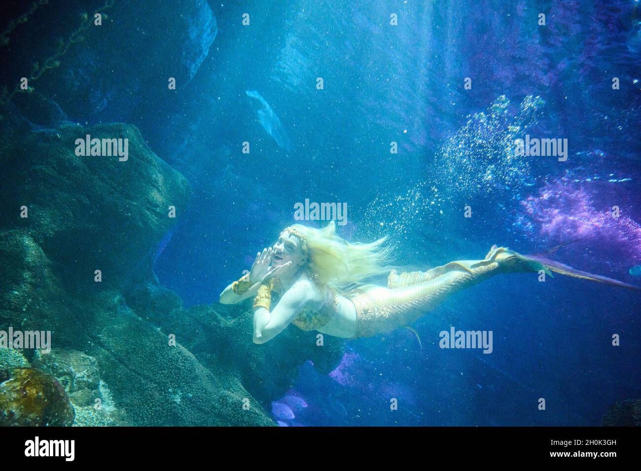 Berlin, Germany. 13th Oct, 2021. The mermaid actress Daniela Rodler ...