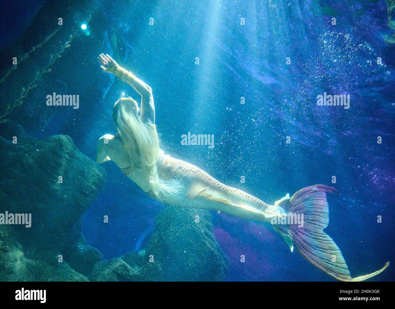 Daniela sea actress hi-res stock photography and images - Alamy