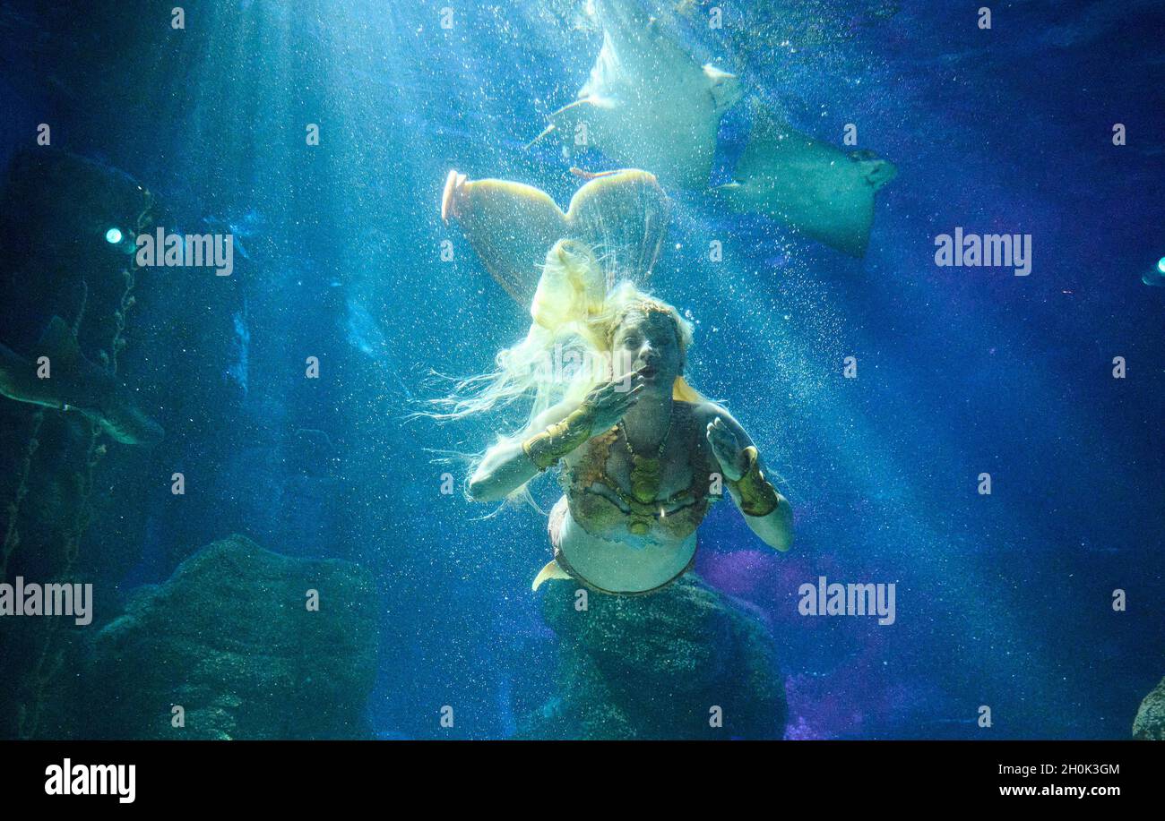 Berlin, Germany. 13th Oct, 2021. The mermaid actress Daniela Rodler ...