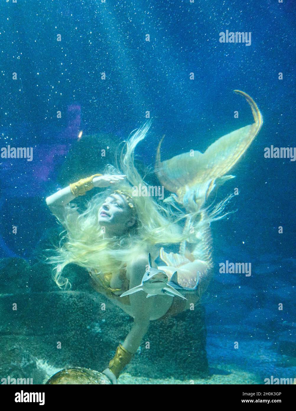 Daniela sea actress hi-res stock photography and images - Alamy