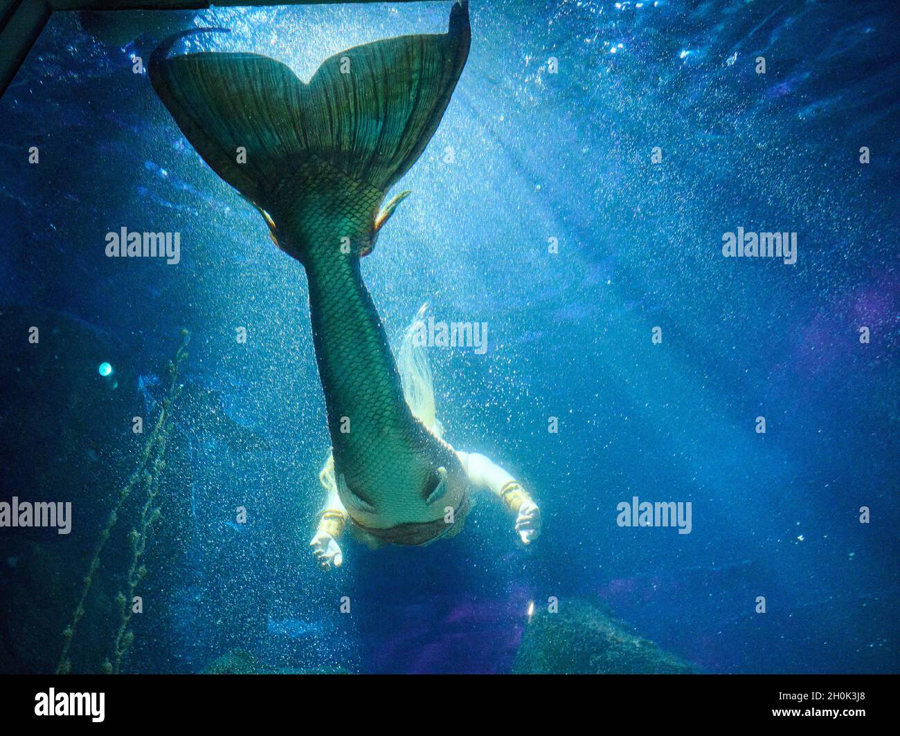 Daniela sea actress hi-res stock photography and images - Alamy