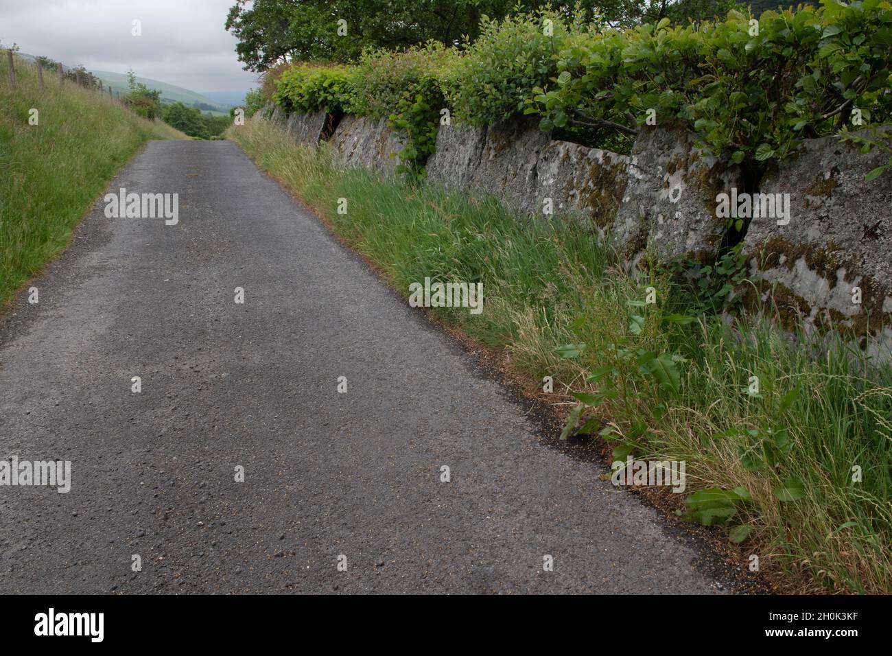 Welsh Stone Wall near Safn-y-coed, Wales, UK Stock Photo - Alamy