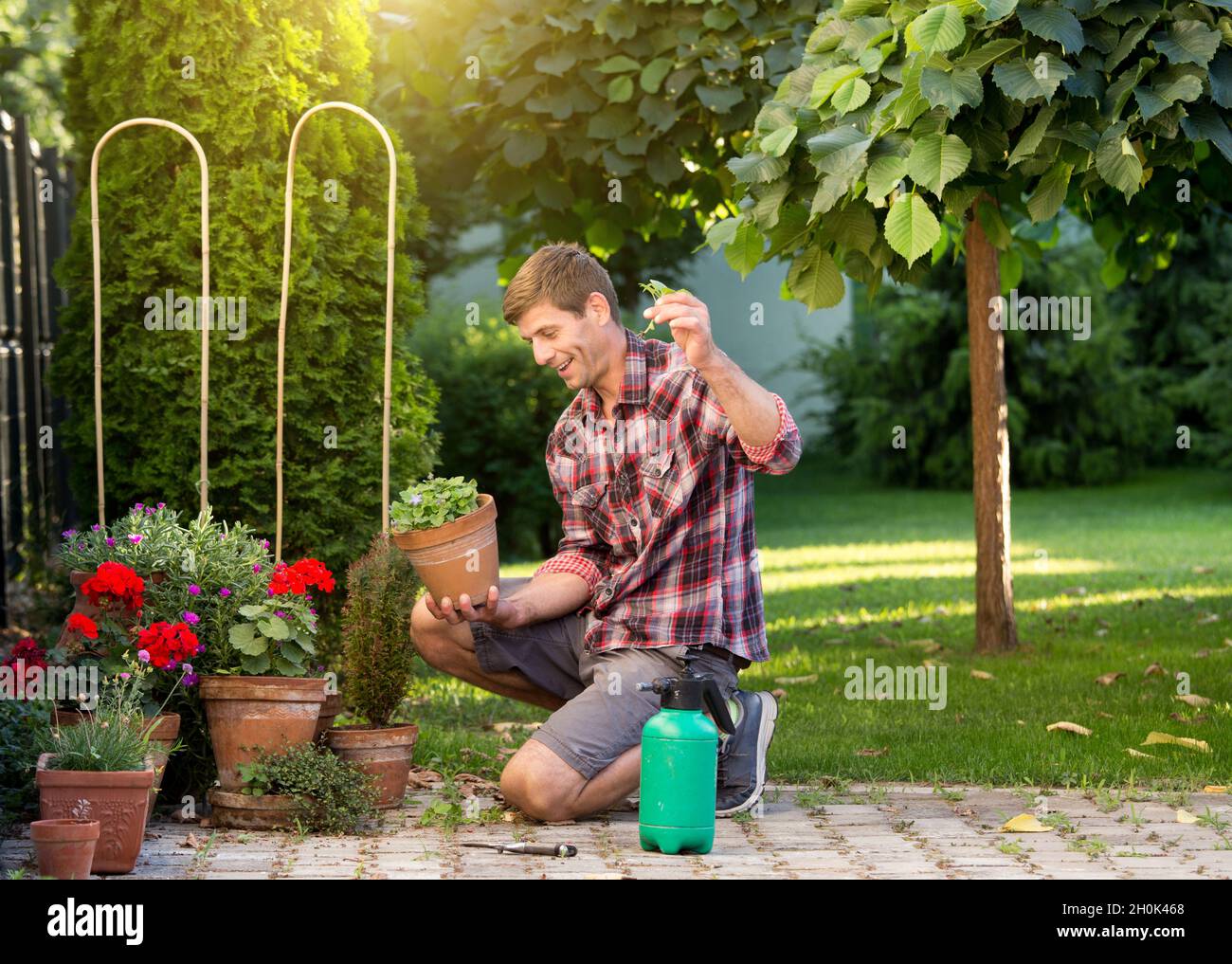 Gardener taking care of plants in flower pots in garden. Man uproot ...
