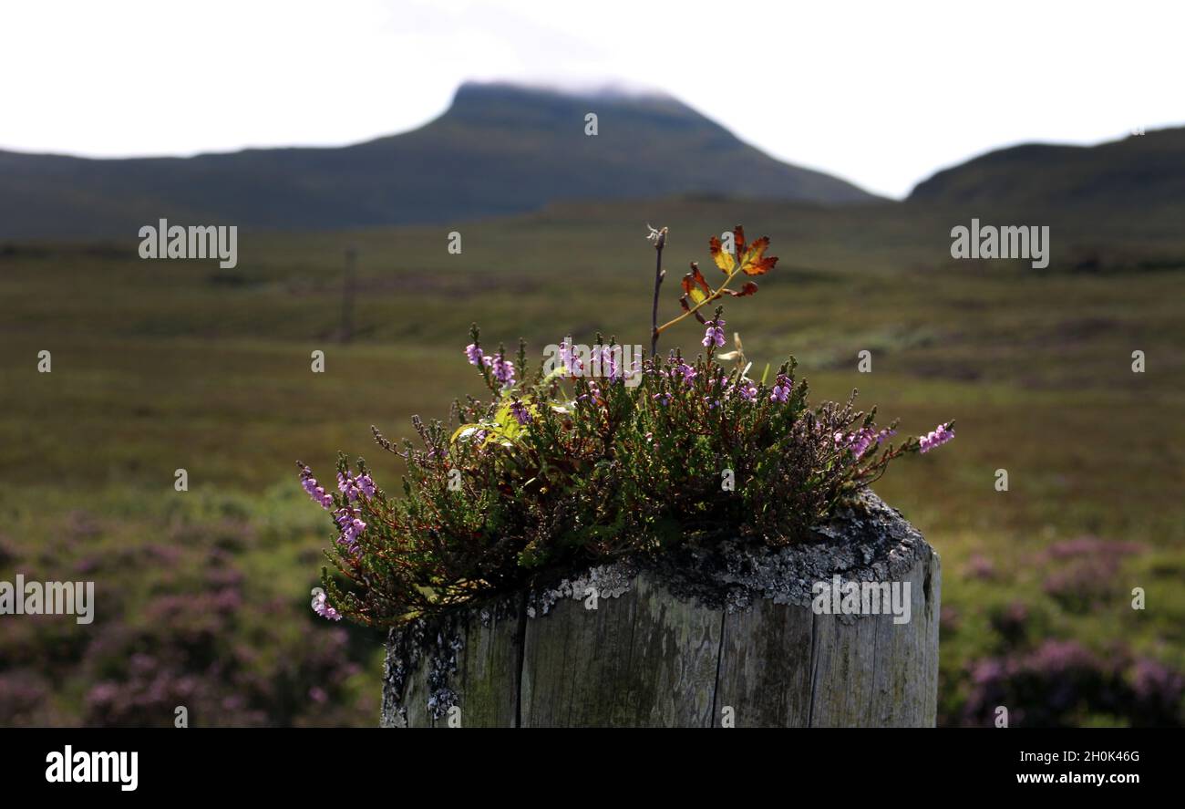 MacLeod's Table North Stock Photo - Alamy