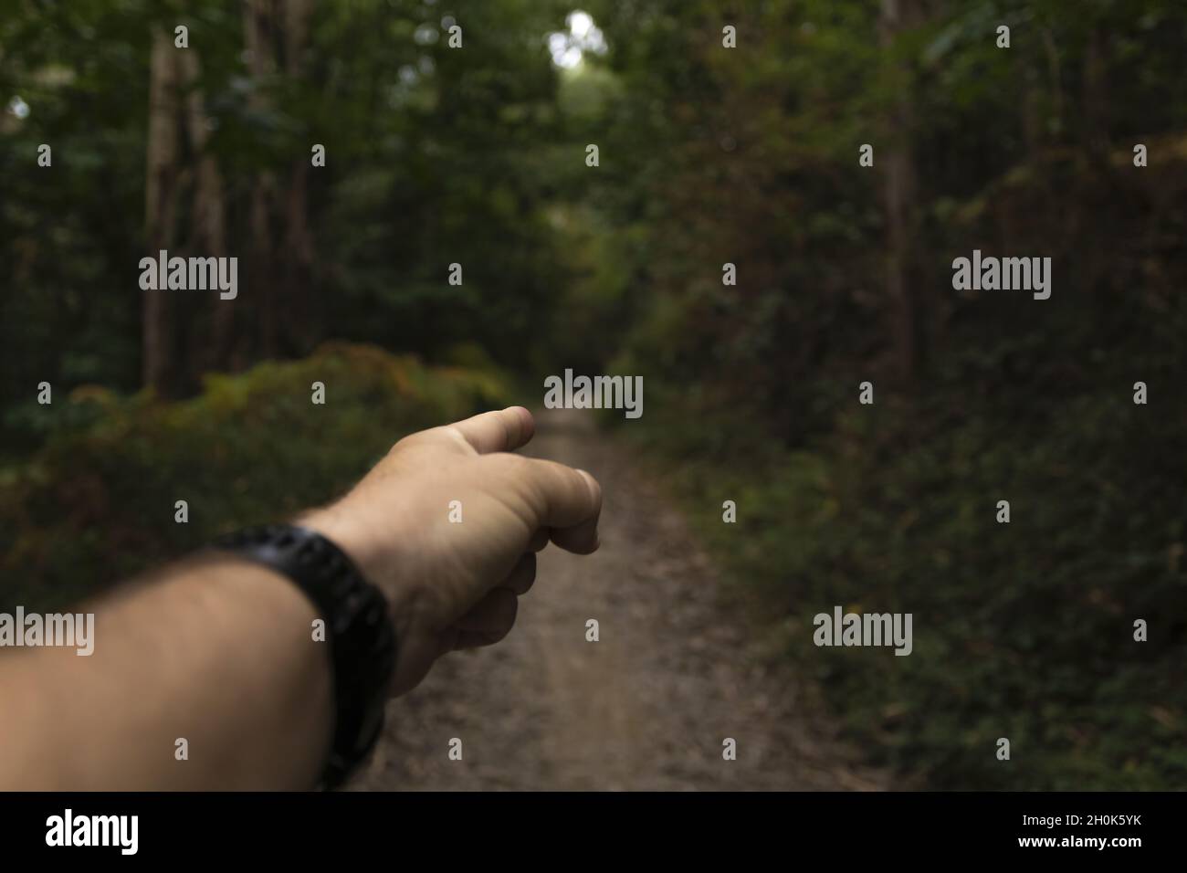 Male hand pointing to the forest Stock Photo - Alamy