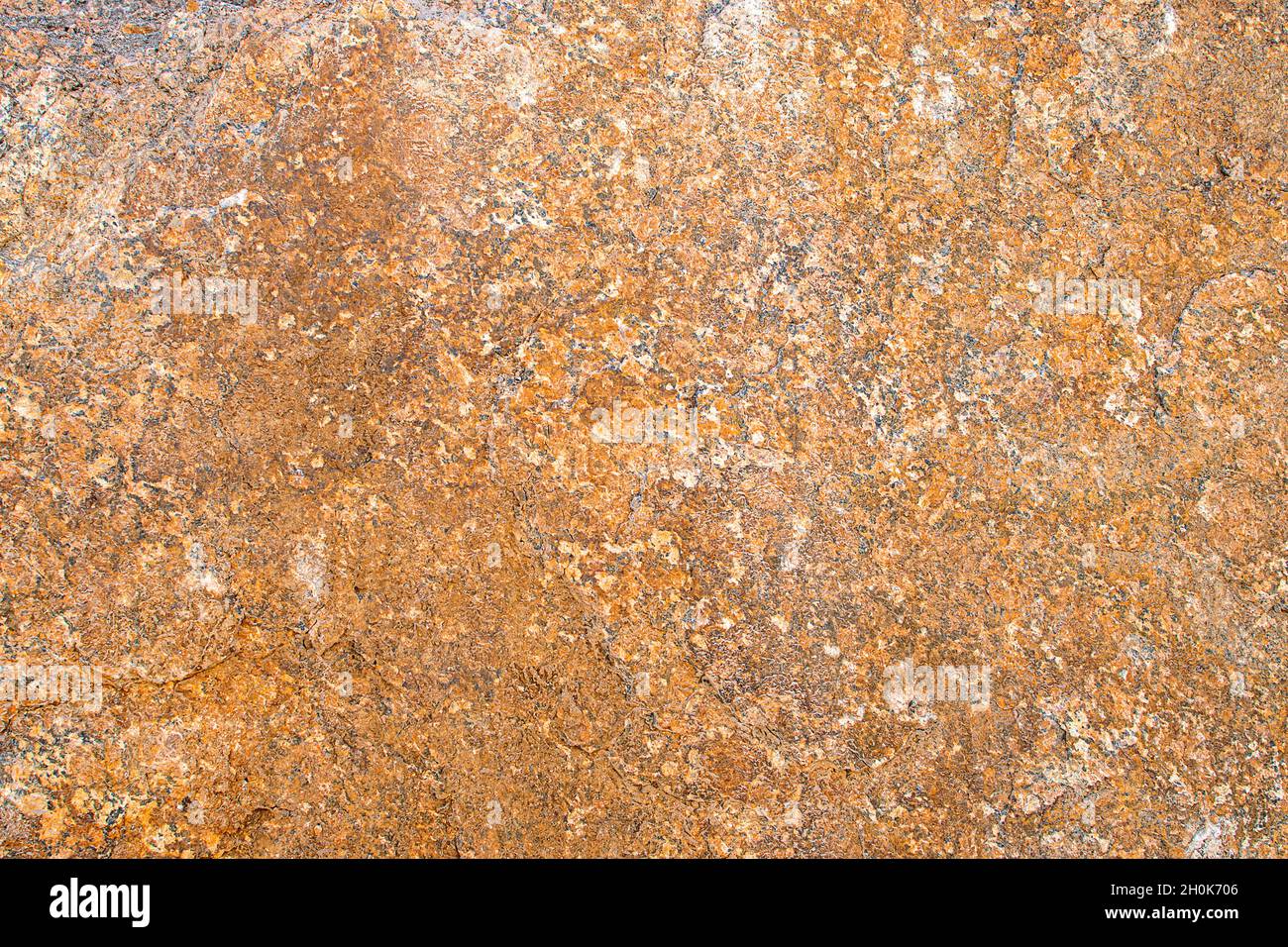 Gold Granite Texture