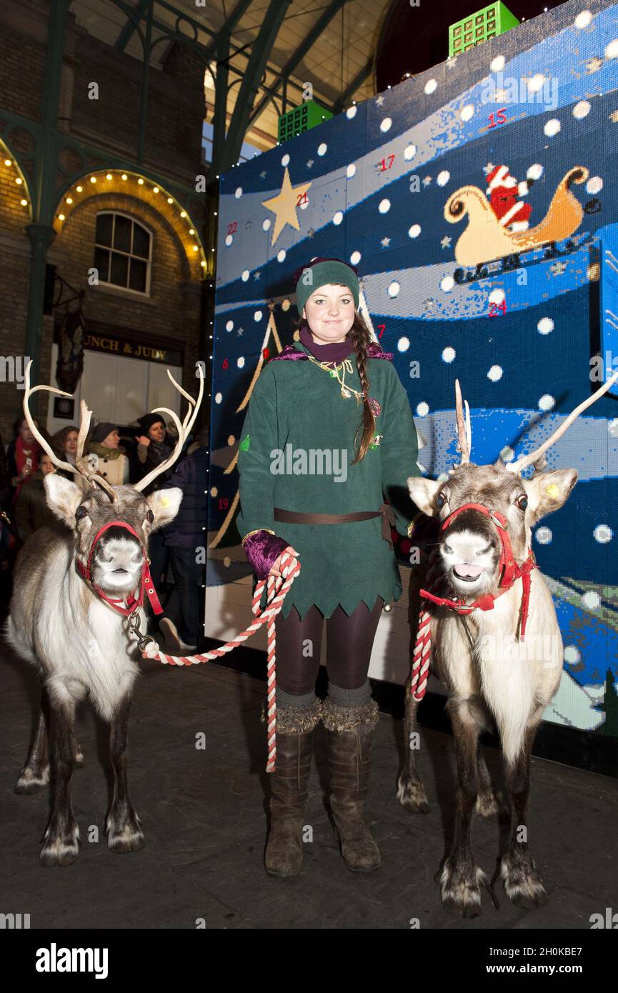 Day 1 opening of the giant Lego Advent Calendar, with reindeer Jingle ...