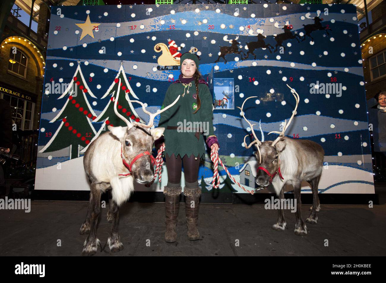 Day 1 opening of the giant Lego Advent Calendar, with reindeer Jingle ...