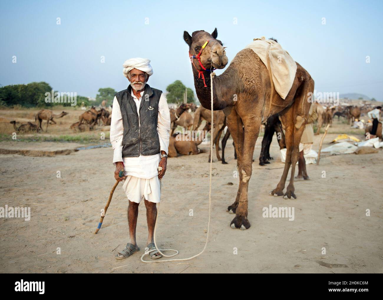 An Indian Camel Herder at the Pushkar Camel Festival in Pushkar, India Stock Photo - Alamy