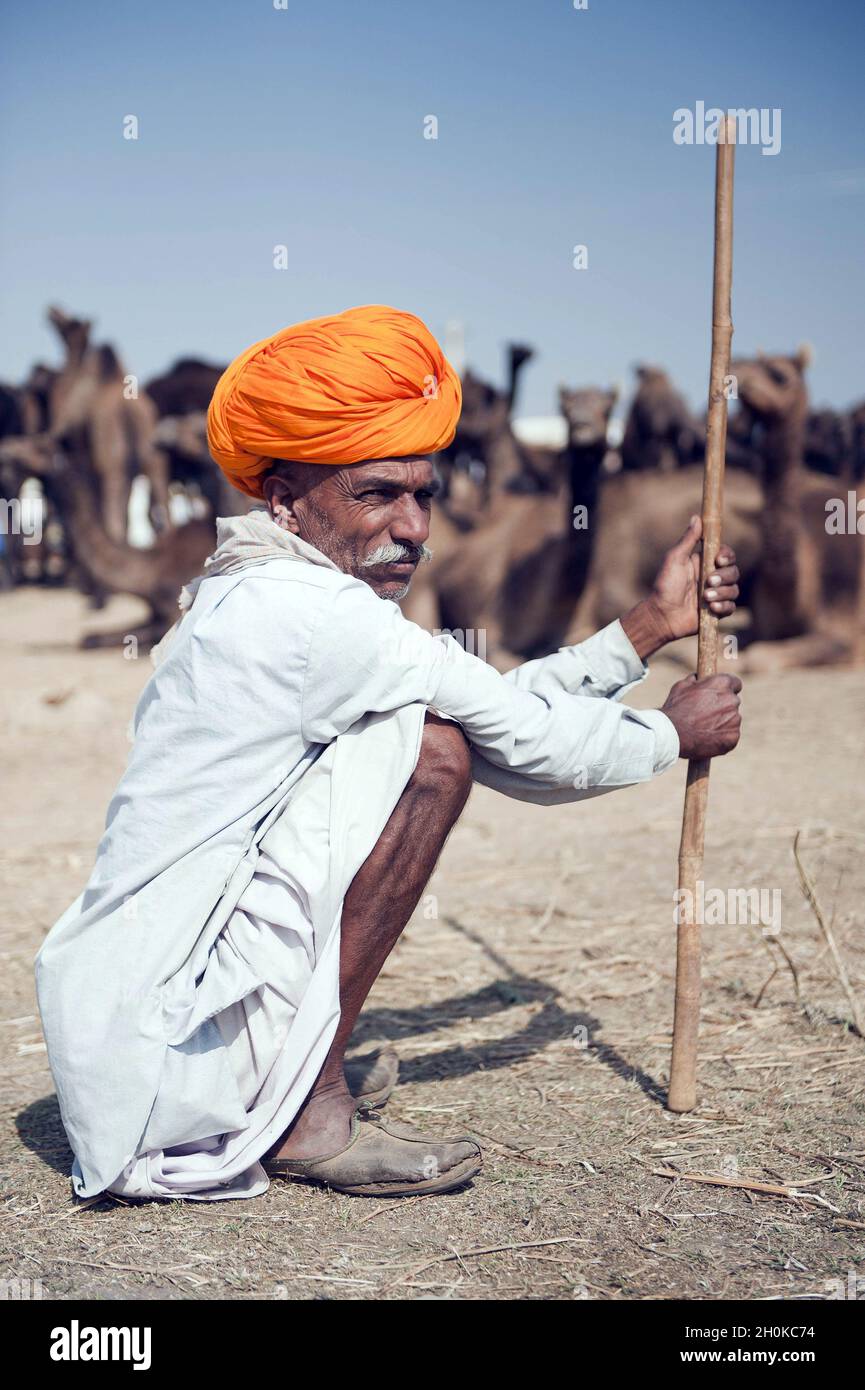 Camel sat hi-res stock photography and images - Alamy