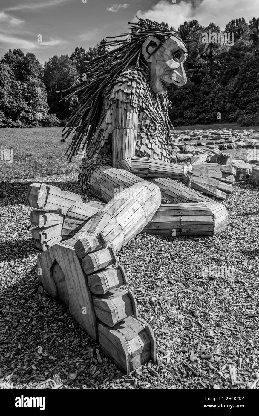 Forest Giants in a Giant Forest - Bernheim Forest - Clermont, Kentucky ...